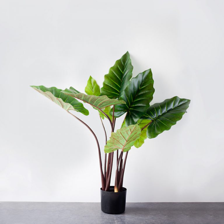 Cây cảnh giả trang trí - Jassi Decor