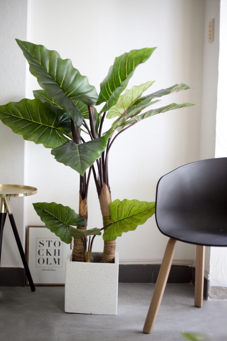 Cây ráy giả » Cây cảnh giả trang trí