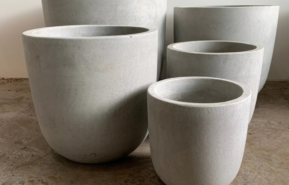 10 lý do tại sao bạn nên sở hữu chậu xi măng tròn để trồng cây » Cây ...